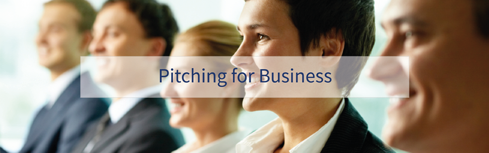 Pitching for Business Training Course - LDL